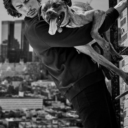 Adam Driver Height, Age & Bio - Creeto